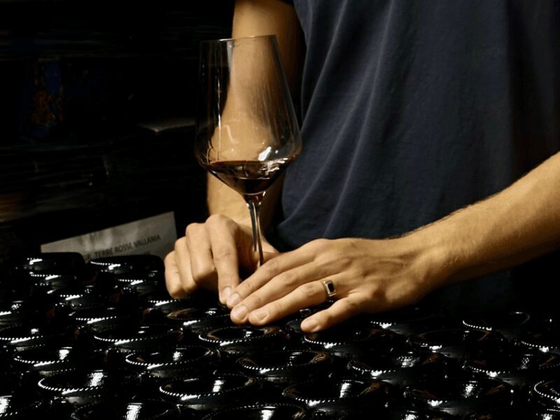 Boutique Winery Tour with Wine Tasting & Food in Bologna - An Authentic Taste of Italy’s Wine Heritage