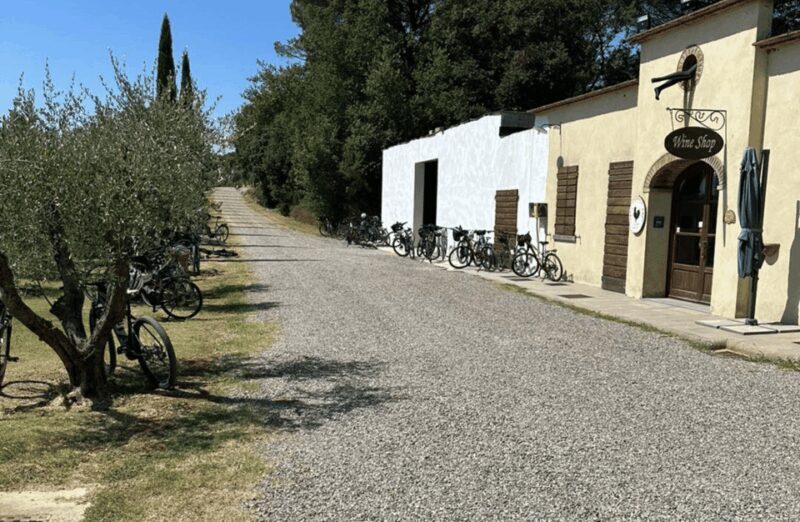 Boutique Winery Visit & Wine Tasting near Arezzo - Who Should Book This Tour?