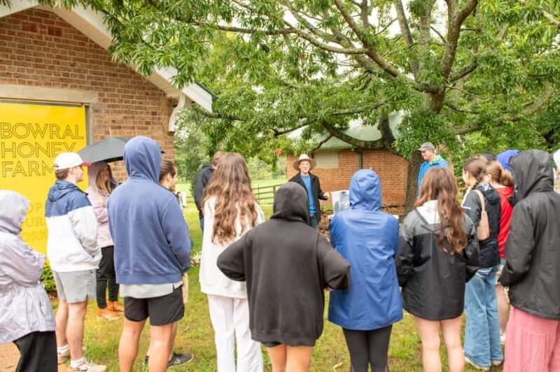 Bowral Honey Farm Tour, Honey Tasting & morning Tea - A Deep Dive into the Bowral Honey Farm Experience