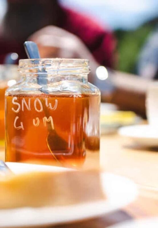 Bowral: Honey Tasting and Hive Opening with Morning Tea - Key Points