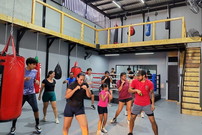 Boxing Puerto Vallarta Experience a day in the ring - Key Points