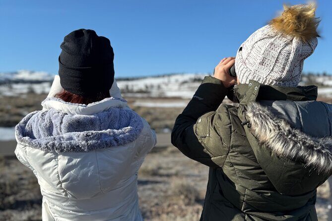 Bozeman Winter Wildlife Safari, Lamar Valley, Burrito and Lunch - The Itinerary in Detail