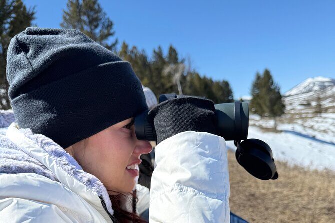 Bozeman Winter Wildlife Safari, Lamar Valley, Burrito and Lunch - Final Thoughts