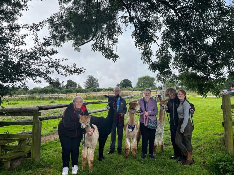 Brackenfield: Alpaca Trek - Authentic Experiences Shared by Visitors