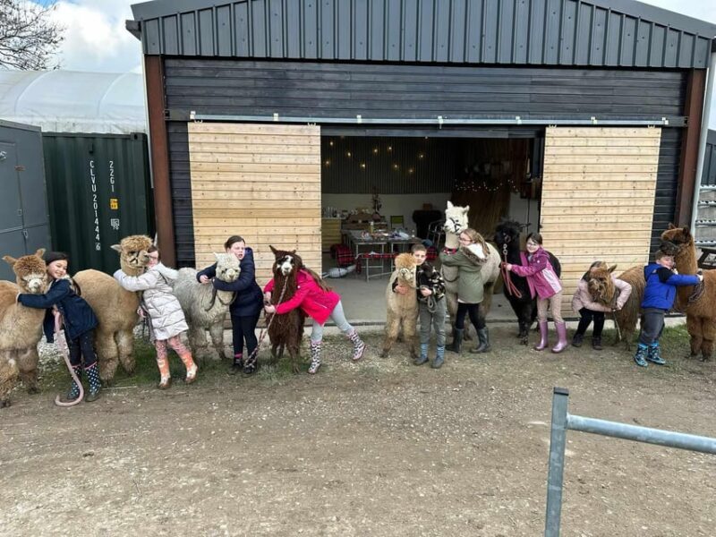 Brackenfield: Alpaca Trek - Final Thoughts