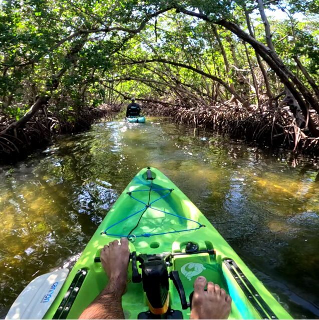 Bradenton: Guided Pedal Kayak Tour - Practical Details: What You Need to Know
