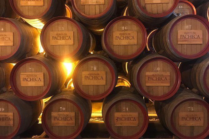 Braga and Guimarães Full Day Tour - Value and Practicality