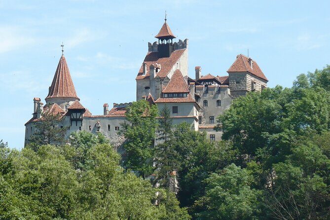 Bran Castle and more options private tour from Brasov - The Value of a Knowledgeable Guide