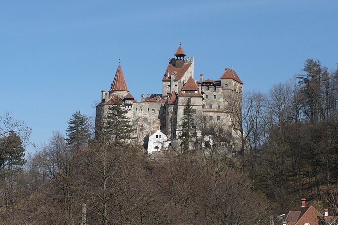 Bran Castle and more options private tour from Brasov - Scenic and Cultural Highlights