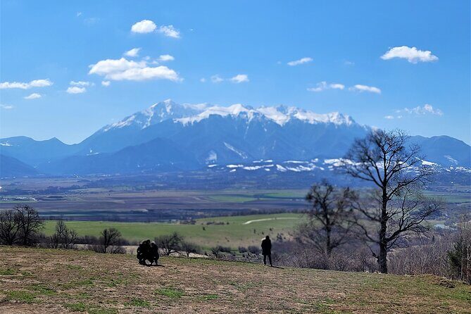 Bran Castle & Bear Sanctuary from Brasov - Optional Peles Castle - An In-Depth Look at the Tour