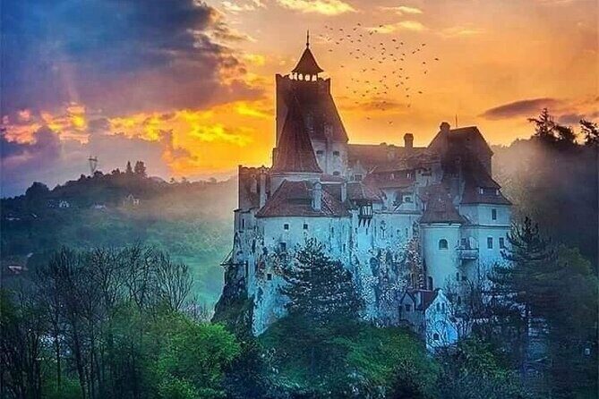 Bran Castle, Rasnov Fortress, Harman & Prejmer Fortified Churches Day Tour - Key Points  