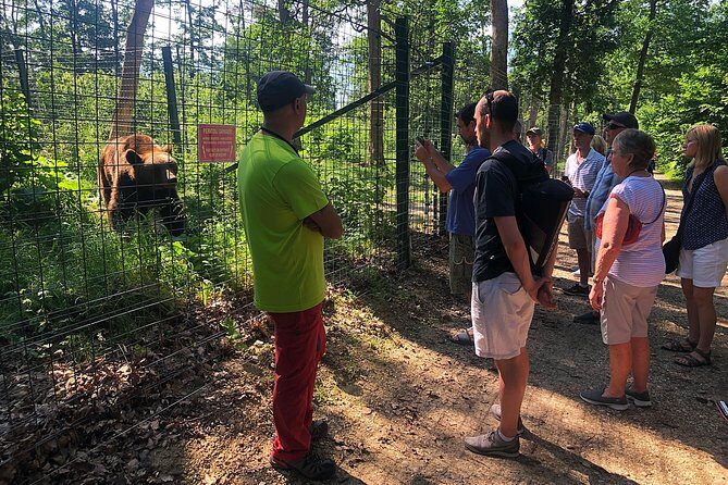 Bran (Dracula) Castle, Bear Sanctuary, Rasnov Fortress & Palinca Distillery - A Day in Transylvania: What to Expect