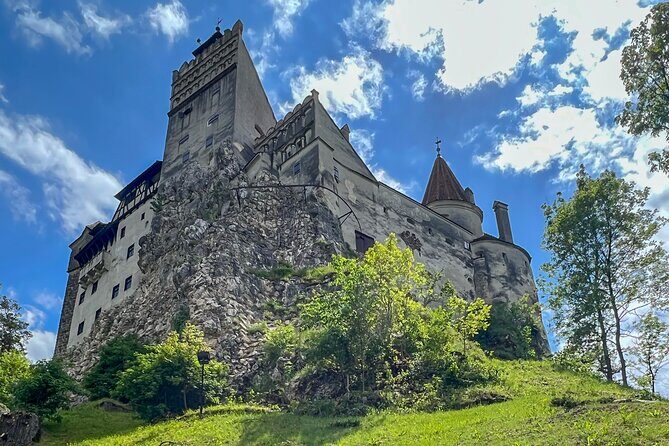 Bran (Dracula) Castle, Bear Sanctuary, Rasnov Fortress & Palinca Distillery - Who Should Book This Tour?