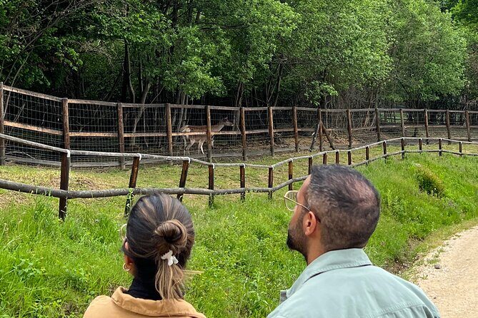 Bran (Dracula) Castle, Bear Sanctuary, Rasnov Fortress & Palinca Distillery - FAQs