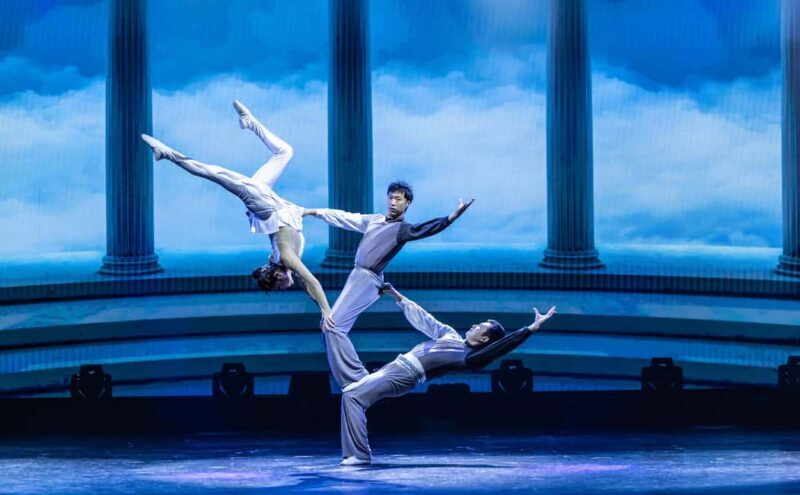 Branson: Grand Shanghai Circus Show Entry Ticket - The Theater and Viewing Experience