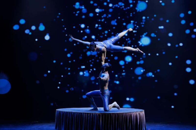 Branson: Grand Shanghai Circus Show Entry Ticket - Practical Details for Visitors