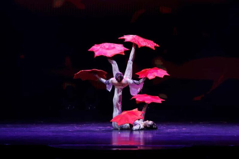 Branson: Grand Shanghai Circus Show Entry Ticket - Final Thoughts: Who Will Love This Show?