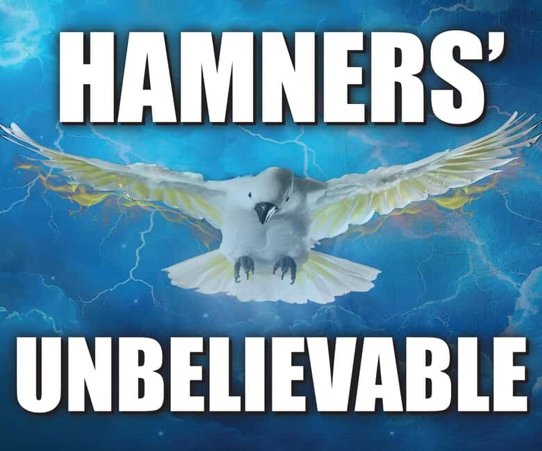 Branson: Hamners' Unbelievable New Year's Eve Extravaganza - What It Offers: An Authentic and Festive Celebration