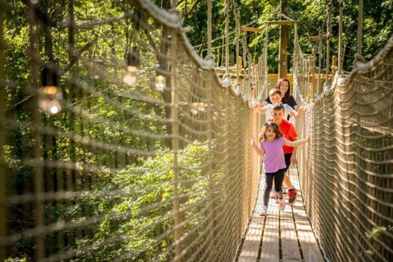 Branson: Shepherds Adventure Park Admission Ticket - Entry and Overall Feel  