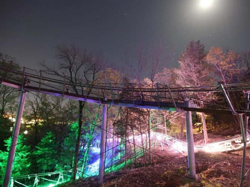 Branson: Thrilling Mountain Coaster Ride - What to Expect at the Ride