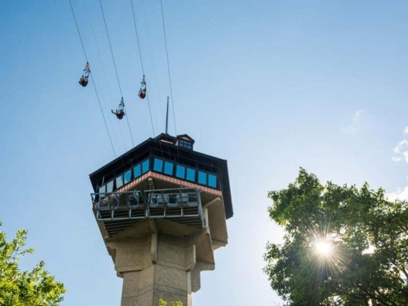 Branson: Vigilante Extreme Ziprider Experience - Key Points