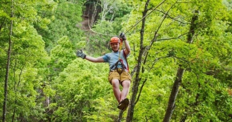 Branson: Zipline Canopy Tour - An In-Depth Look at the Branson Zipline Canopy Tour