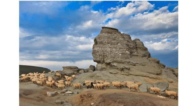 Braov: Carpathian Mountains Guided Hike with Pickup - Why This Hike Is a Great Choice