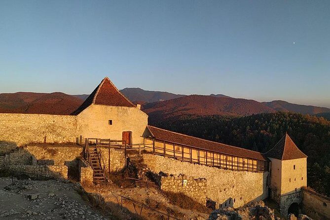 Brasov: Bear Sanctuary, Bran Castle & Rasnov Fortress GUIDED Tour - The Sum Up