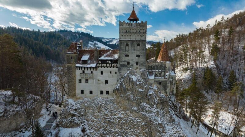 Brasov: Bear Sanctuary, Dracula Castle, and Rânov Fortress - Transportation and Overall Value