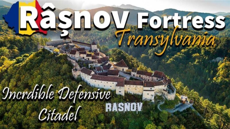 Brasov: Bear Sanctuary, Dracula Castle, and Rânov Fortress - Who Will Love This Tour?