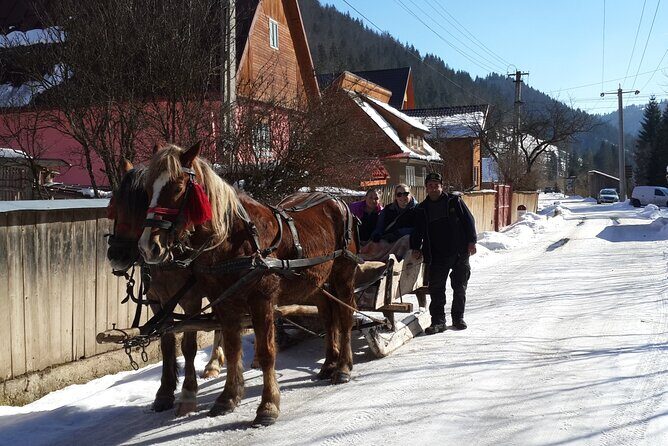 Brasov: Bears Sanctuary, Rasnov Fortress, Bran Castle GUIDED Tour - FAQ