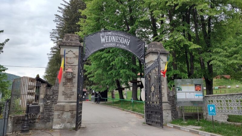 Brasov: Bran, Peles and Cantacuzino Castles Day Tour - Who Is This Tour Best Suited For?