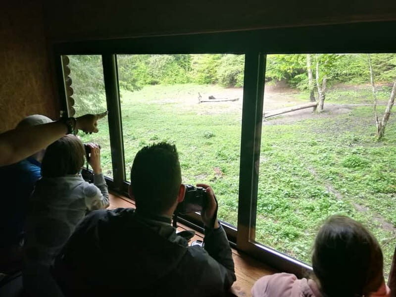 Brasov: Brown Bear & Wildlife Watching - Frequently Asked Questions