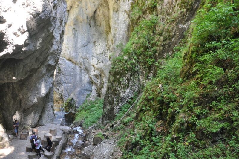 Brasov: Small-Group 7 Ladders Canyon Day Trip - FAQ