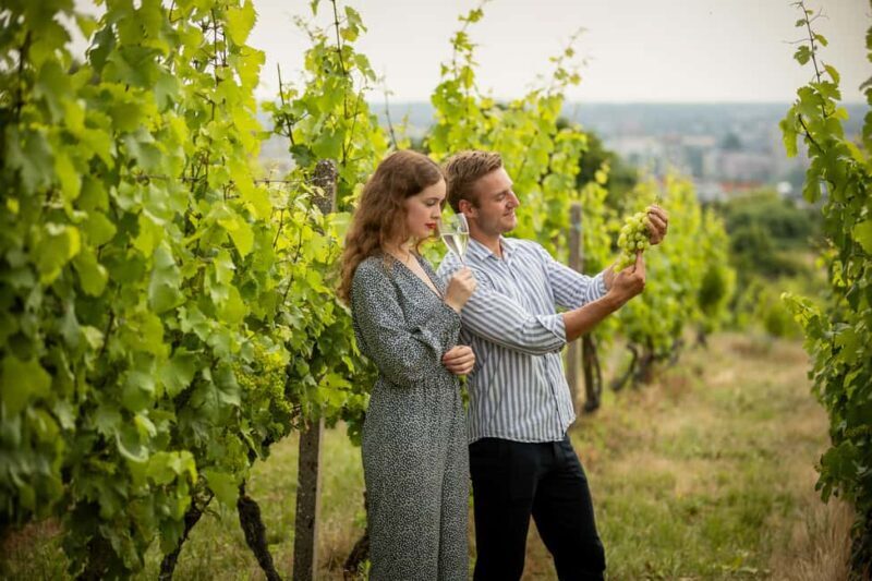 Bratislava Card with Public Transport Option & Walking Tour - Who Is This Tour Best For?