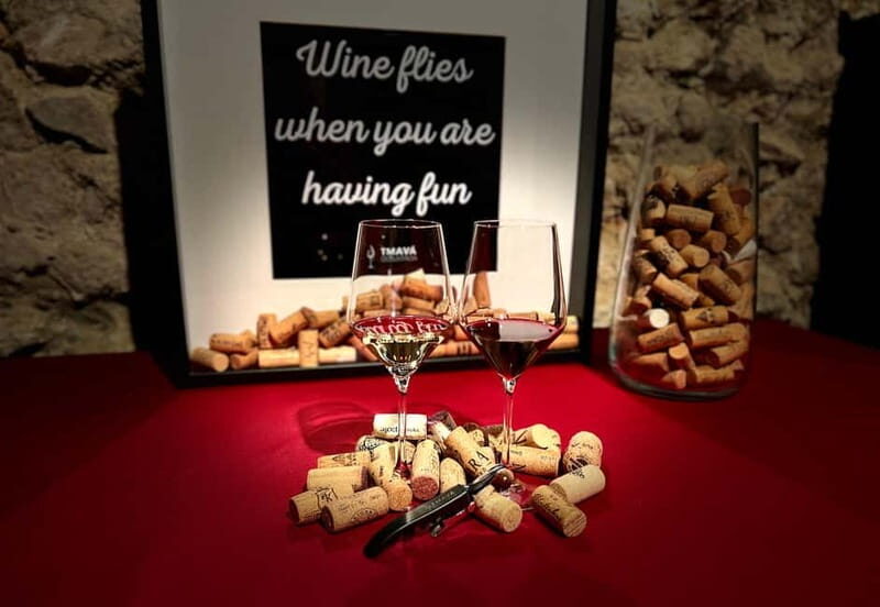 Bratislava: Wine Tasting Experience in the Dark - Who Should Consider This Tour?