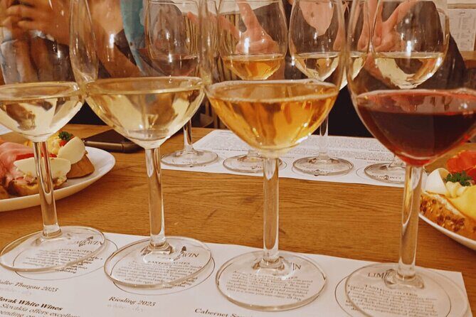 Bratislava Wine Tasting in City Center - Practical Details: What You Need to Know