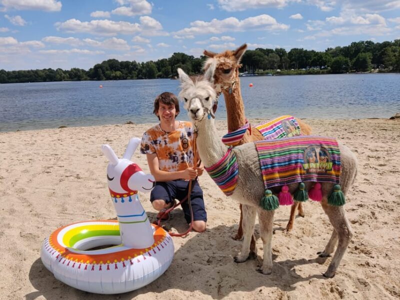 Braunschweig: Alpaca Trekking Tour - FAQs