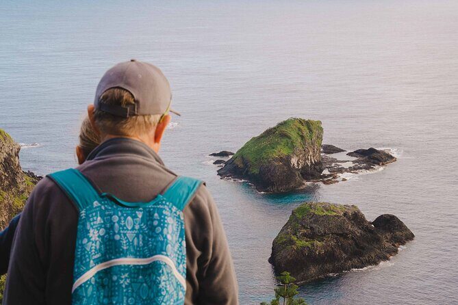 Breakfast Bushwalk & Clifftop BBQ Tour - The Itinerary: What to Expect