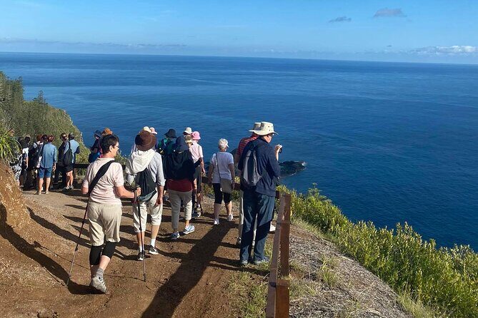 Breakfast Bushwalk & Clifftop BBQ Tour - FAQ