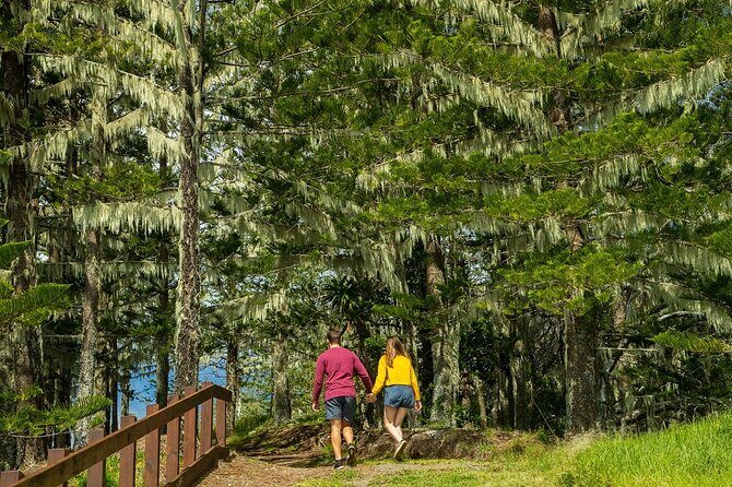 Breakfast Bushwalk in Norfolk Island - Who Should Book This Experience?