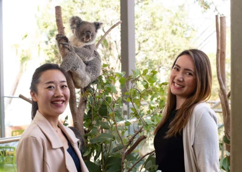 Breakfast with Koalas at WILD LIFE Zoo Darling Harbour - Key Points