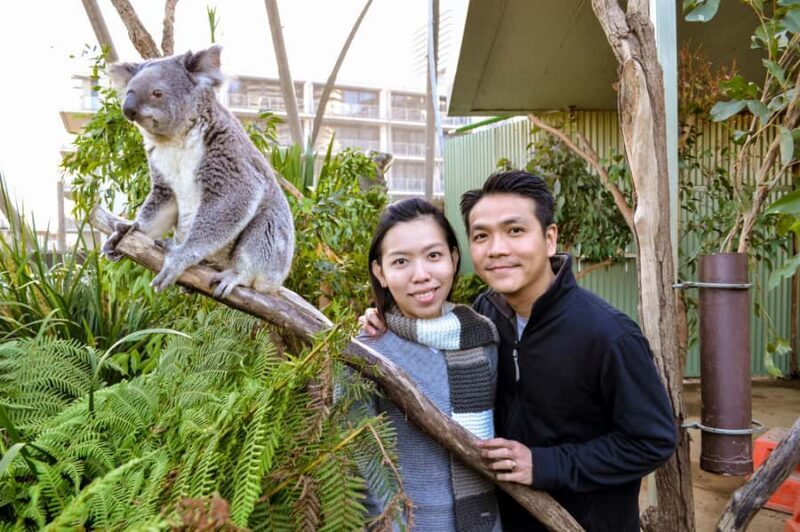 Breakfast with Koalas at WILD LIFE Zoo Darling Harbour - FAQ