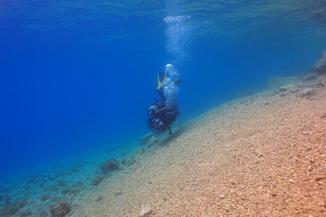 BRELA Bikini Dive *Try SCUBA DIVING* - Learning a New Skill