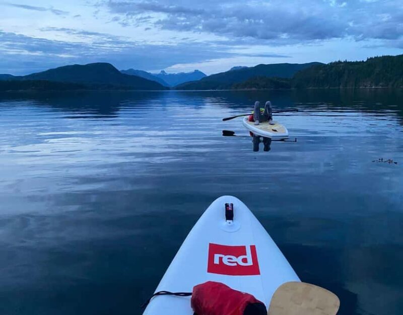 Brentwood Bay: Bioluminescence & Sunset Paddleboard Tour - Key Points
