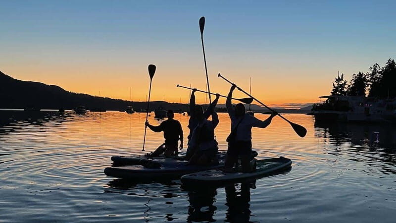 Brentwood Bay: Bioluminescence Tour - Why This Tour Is a Great Choice