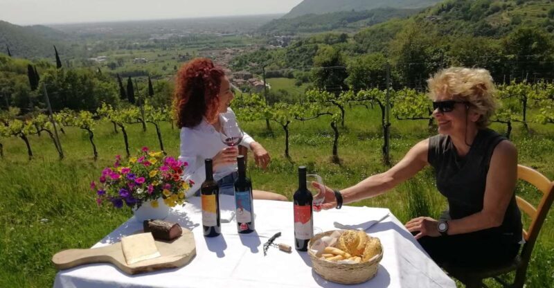 Brescia: day trip to Botticino with wine tasting at Noventa - Discovering Botticino’s Charm: The Itinerary Breakdown