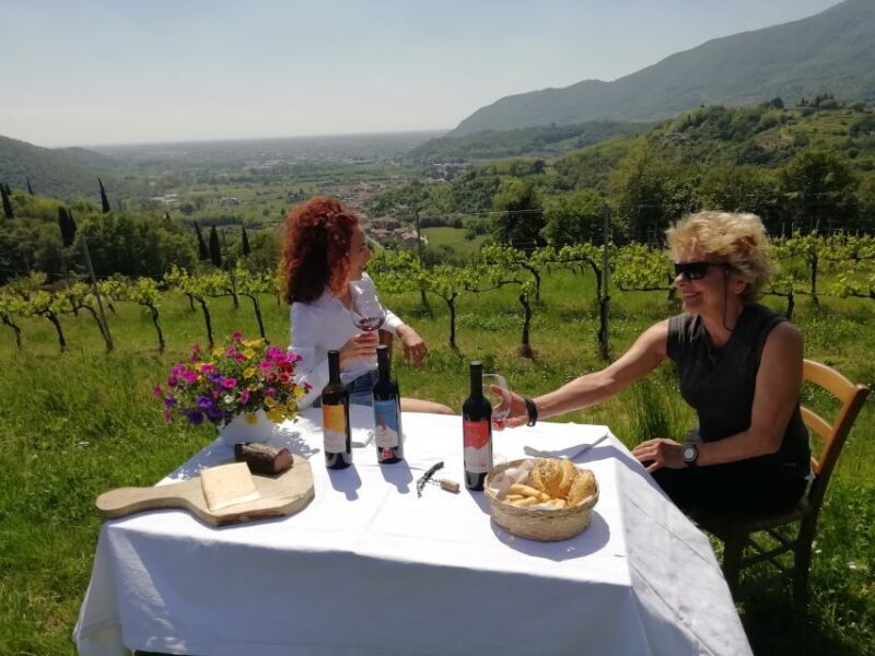 Brescia: day trip to Botticino with wine tasting at Noventa - Who Is This Tour Best For?