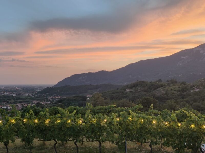 Brescia: day trip to Botticino with wine tasting at Noventa - Final Thoughts