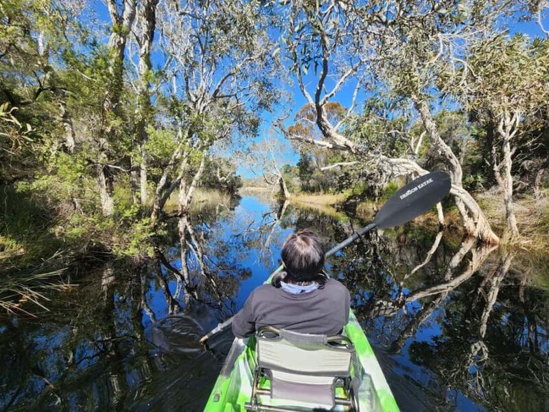 Bribie Island: 4WD, Kayak, and WWII Bunker Tour - Key Points